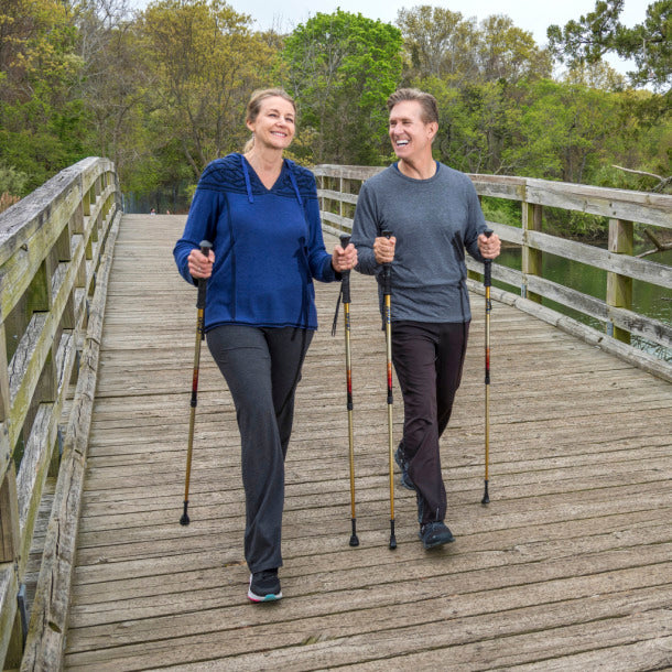 Drive Summit™ Walking Poles – ACE Medical Inc
